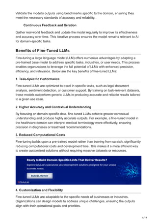 Build Domain-Specific LLMs Step-by-Step Blueprint.pdf