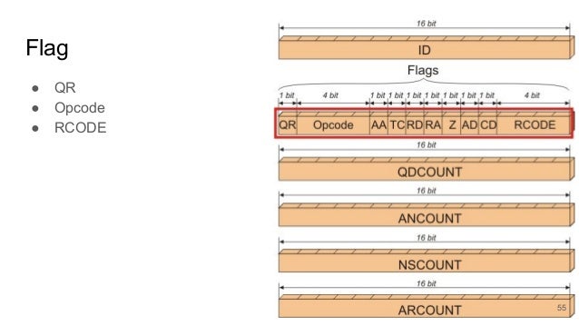 Build Dynamic Dns Server From Scratch In C Part1