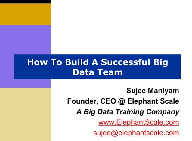 Building a Big Data Team | PDF