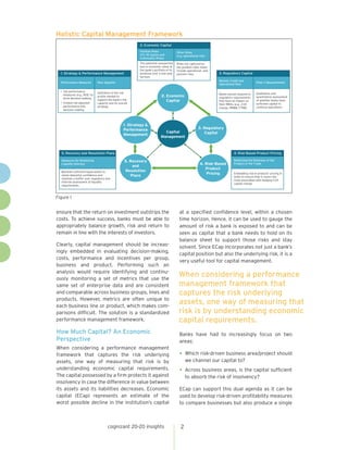 Building a Holistic Capital Management Framework | PDF