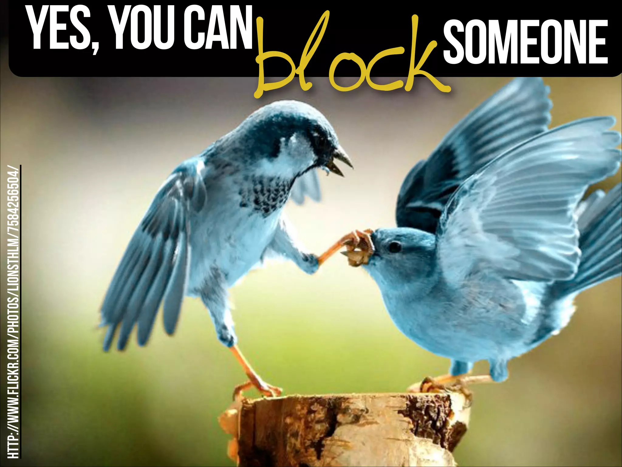 Building a PLN | PPT