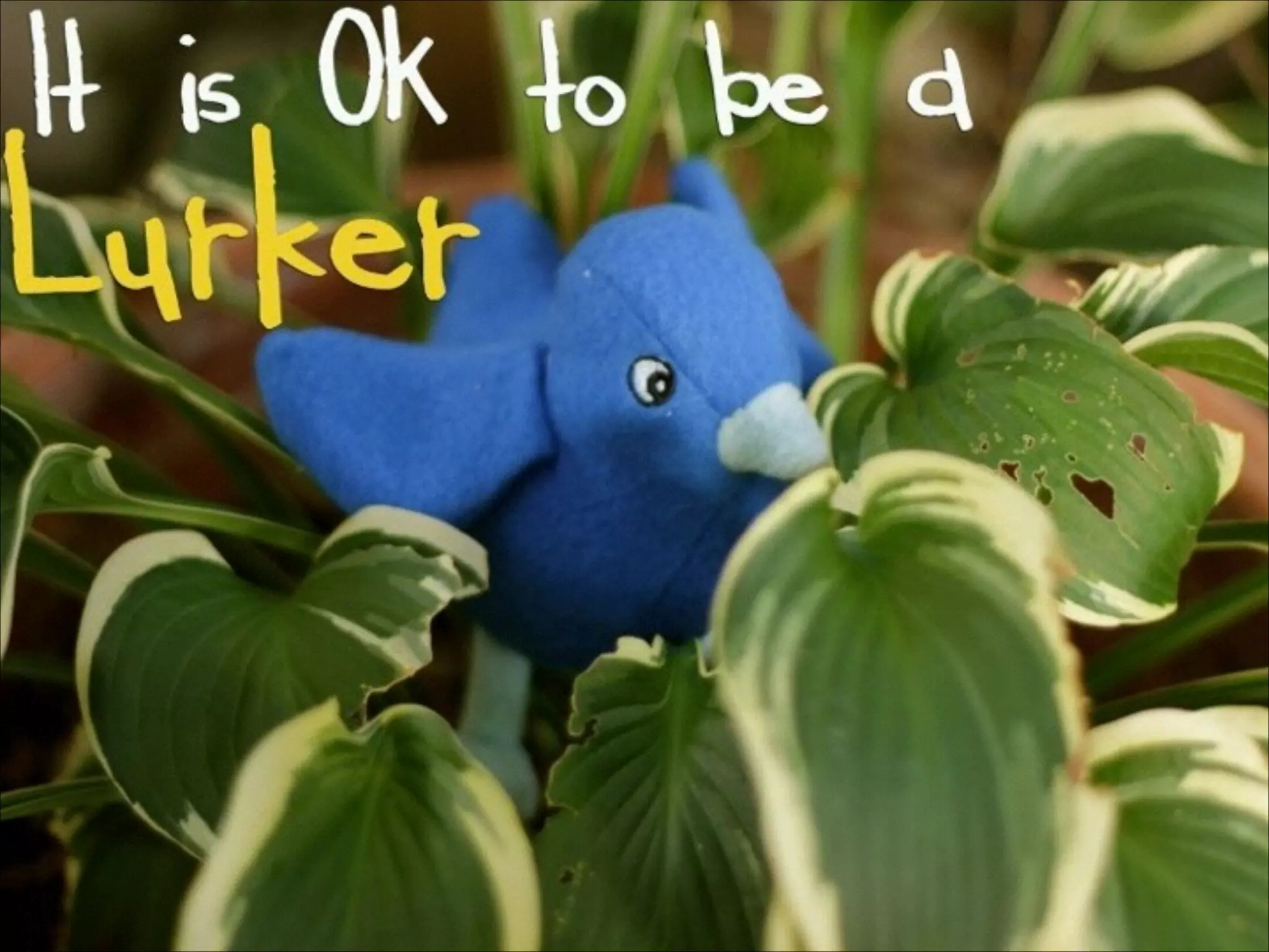 Building a PLN | PPT