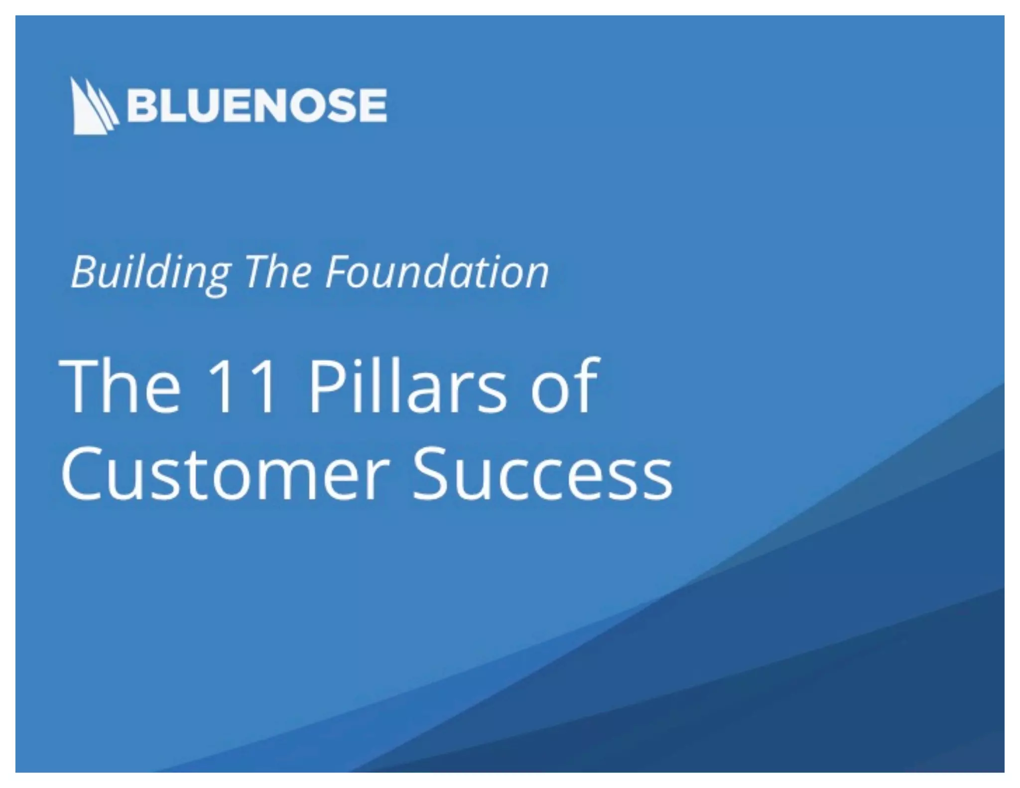 Building The Foundation of Customer Success - The 11 Pillars of ...