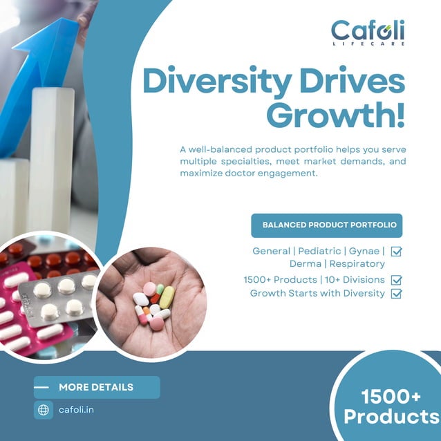 Building a Balanced Product Portfolio for Better Reach.pdf