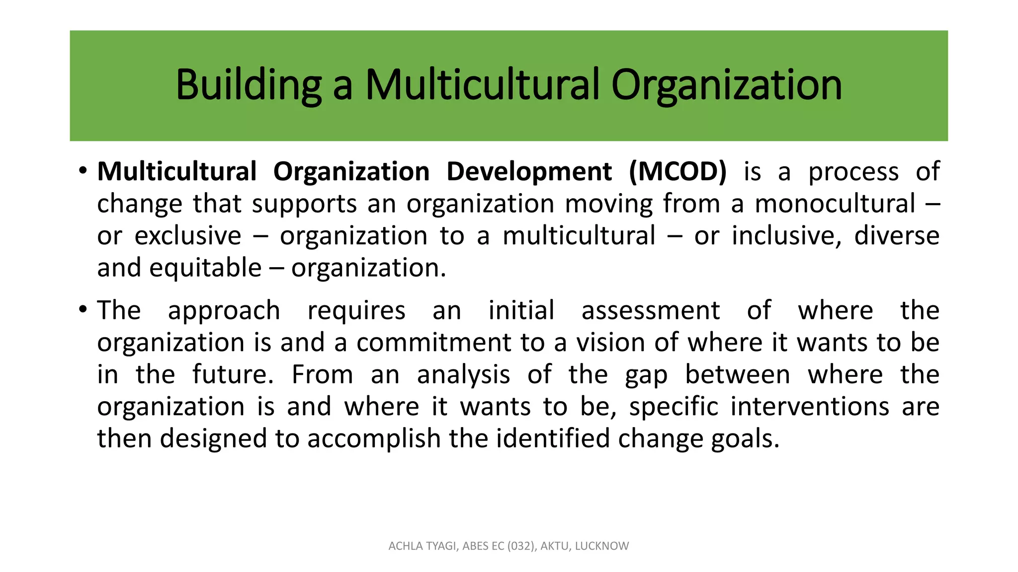 Building a multi cultural organization | PPTX