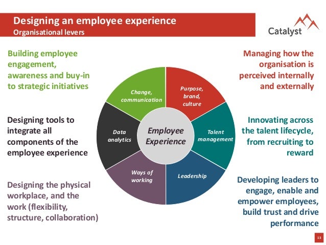 Building an Employee Experience Team