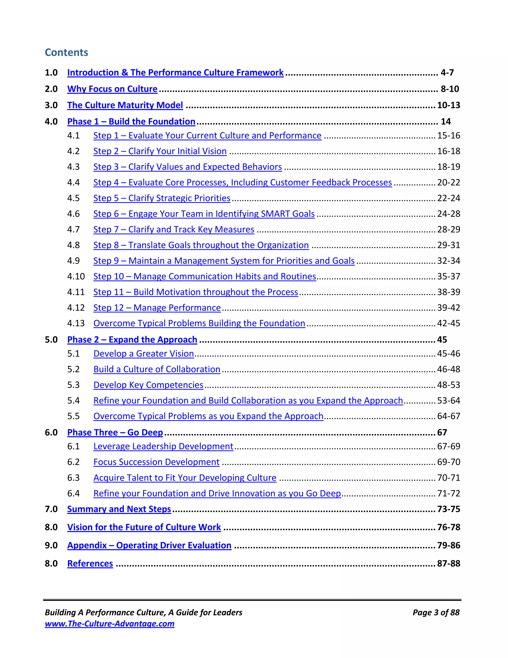 Building A Performance Culture | PDF