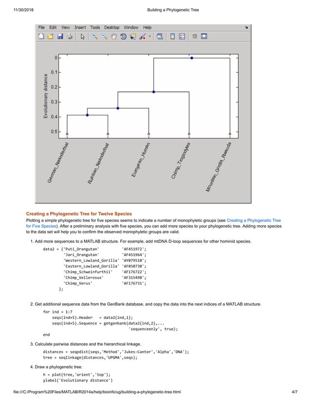Building a phylogenetic tree | PDF
