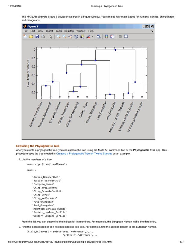 Building a phylogenetic tree | PDF