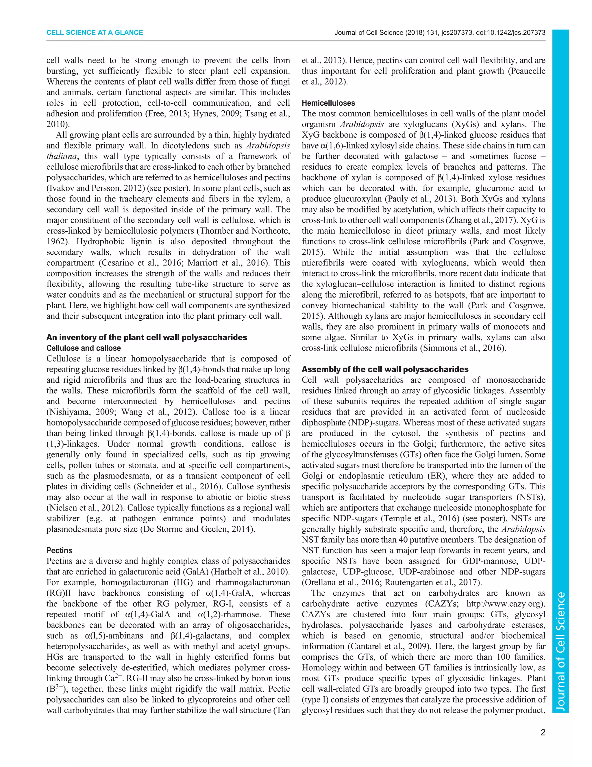 Building a plant cell wall at a glance.pdf