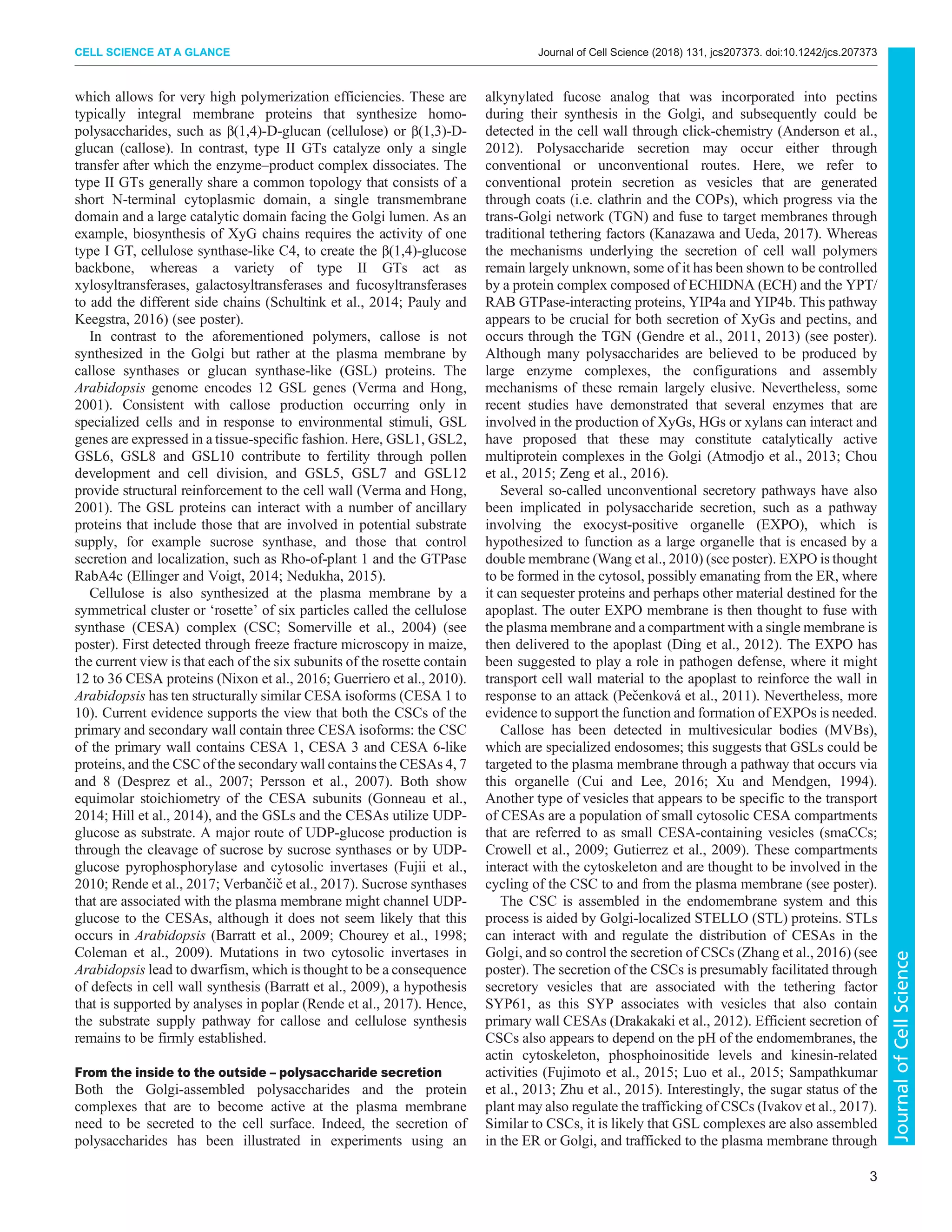 Building a plant cell wall at a glance.pdf