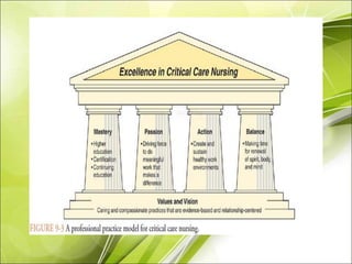 Building a Professional Practice Model for Excellence.ppt