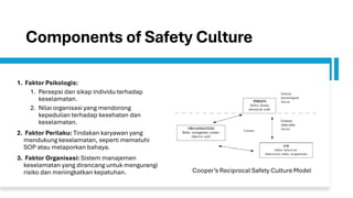 Building a Safety Culture in Organizations | PDF