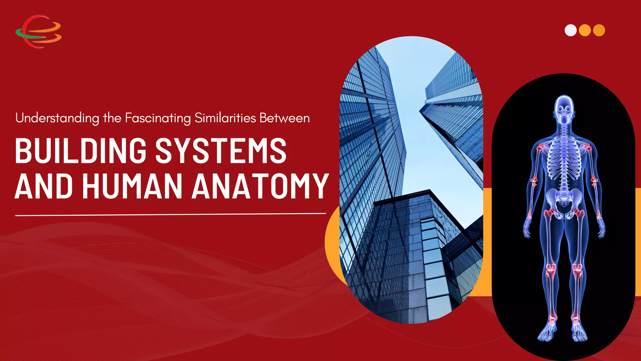 Building as Organism Understanding the Fascinating Similarities Between ...