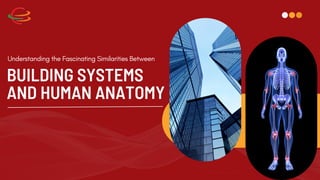 Building as Organism Understanding the Fascinating Similarities Between ...