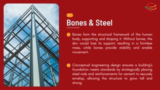 Building as Organism Understanding the Fascinating Similarities Between ...