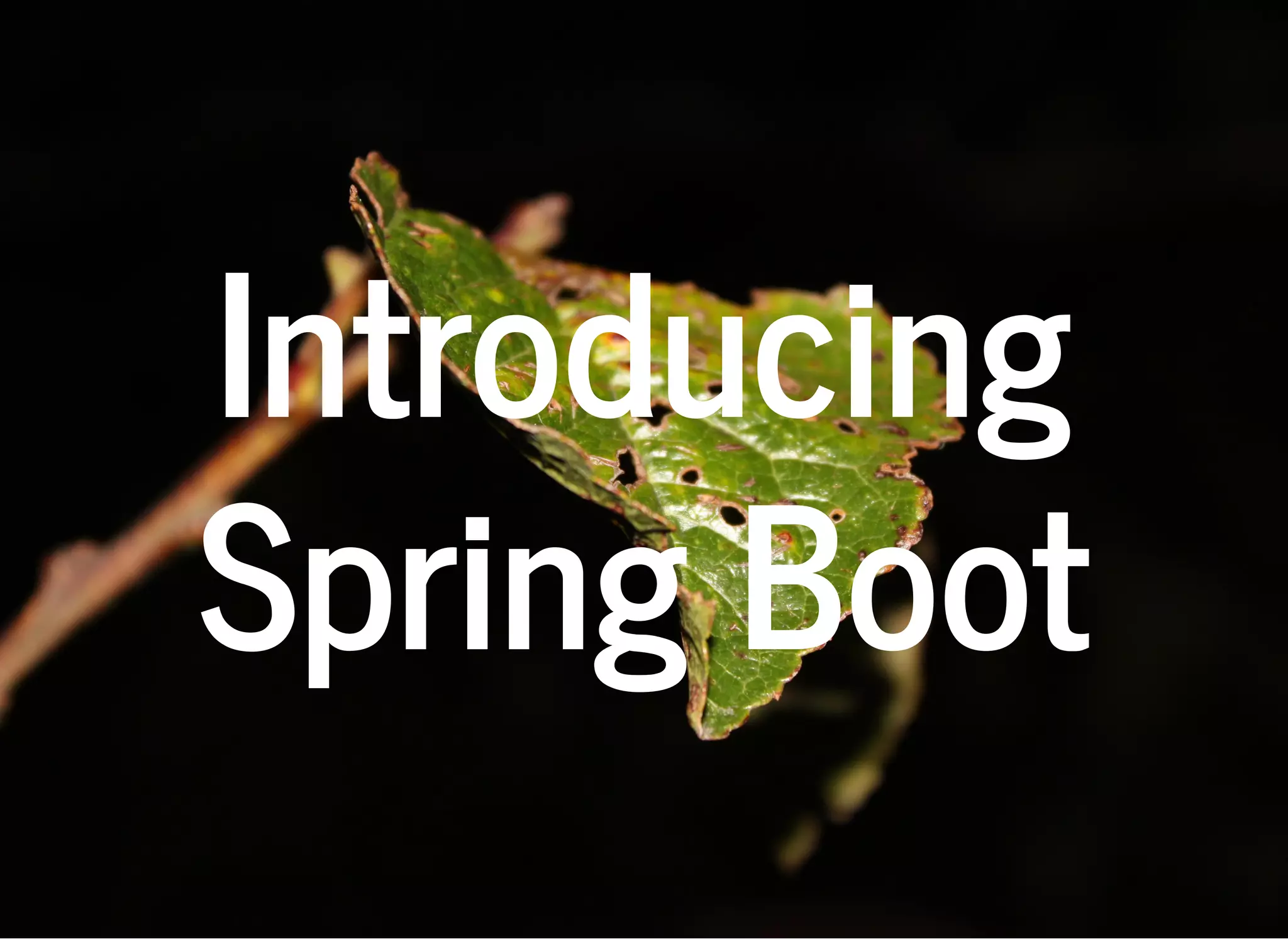 Building a Spring Boot Application - Ask the Audience! | PPT