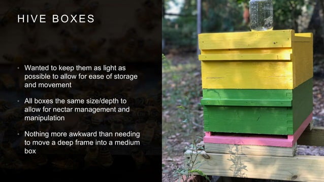 Building a sustainable apiary | PPT
