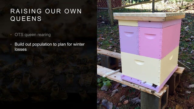 Building a sustainable apiary | PPT