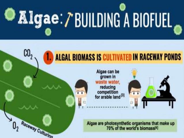 Building biofuel | PPT