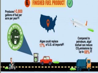 Building biofuel | PPT