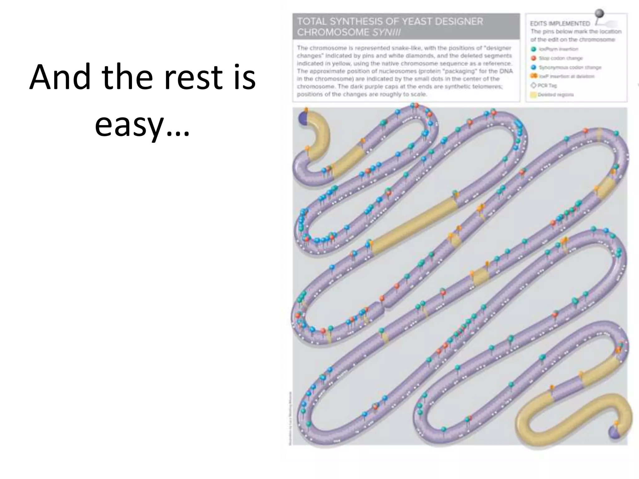 Building Chromosomes by Jef Boeke | PPTX