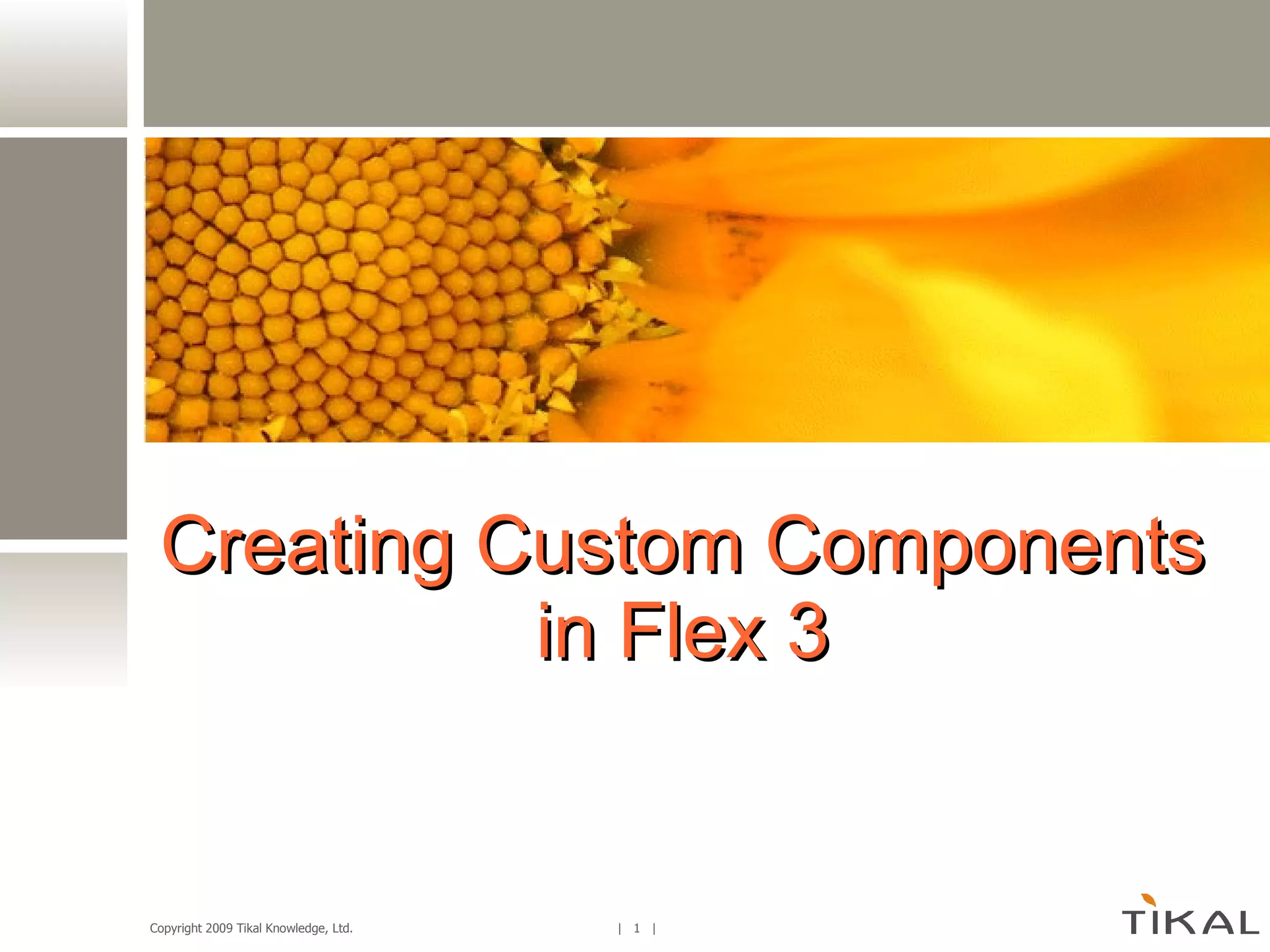 Building Components In Flex3 | PPT