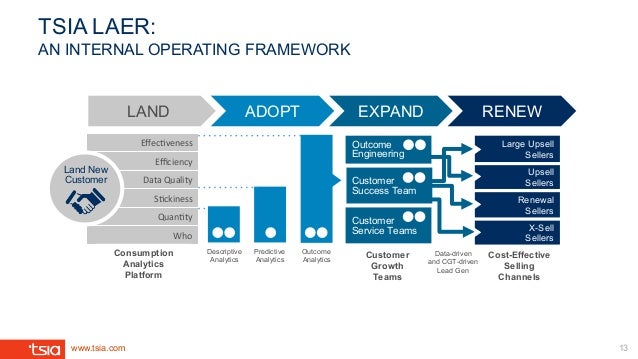 Building Customer Success Organizations