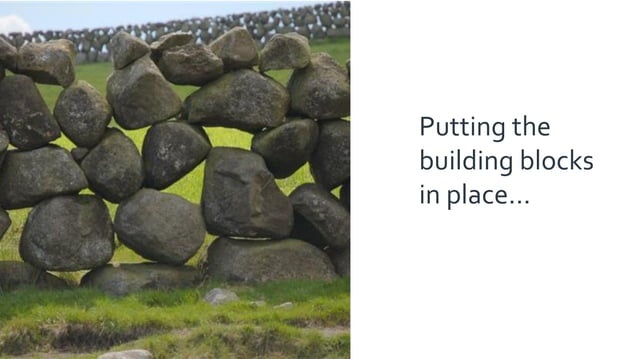 Building digital capability | PPT