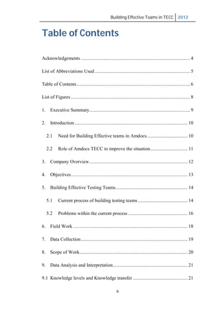 Building effective teams in Amdocs-TECC - project report | PDF