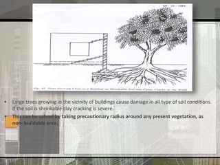 Building Failures and its Causes- Theory of structures | PPTX