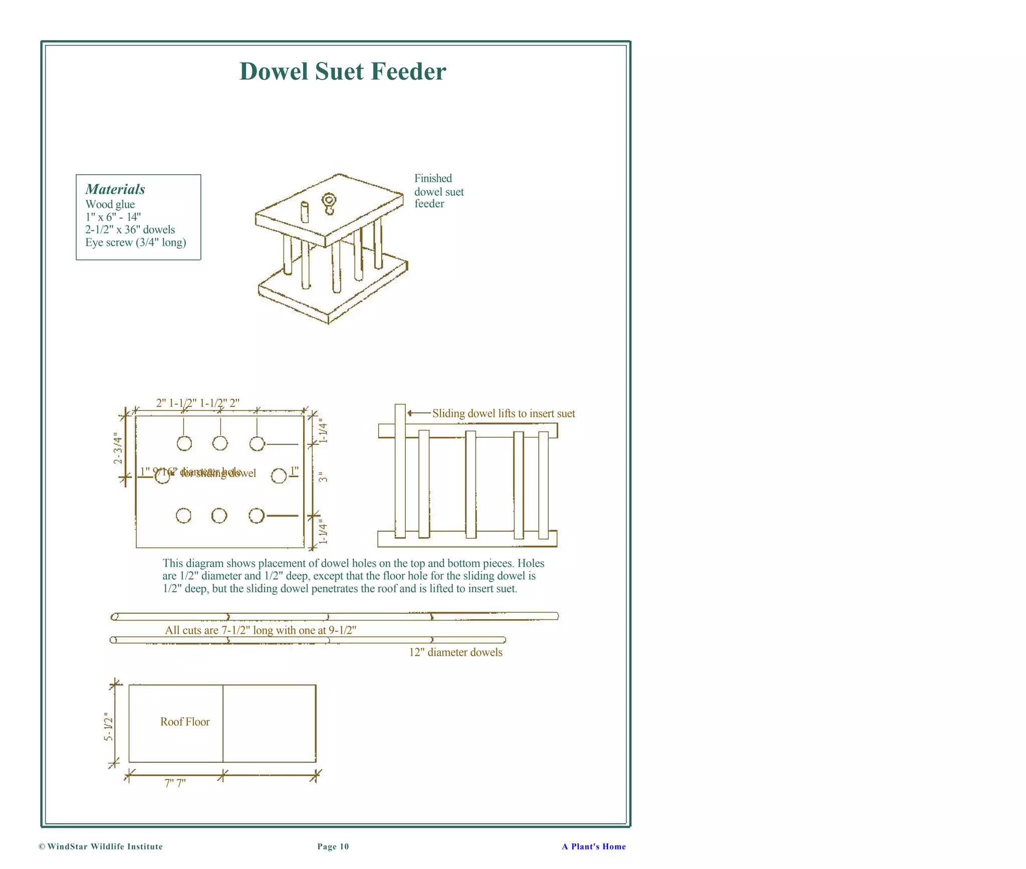 Building Bird Feeders is a Great Pastime | PDF