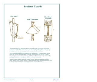 Building Bird Feeders is a Great Pastime | PDF
