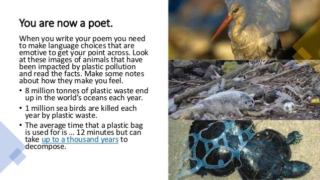 Building language for a persuasive poem