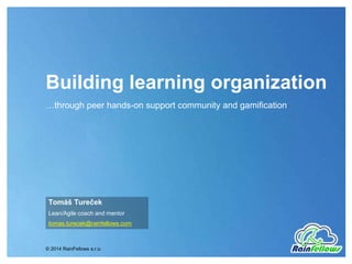 Building learning organization xp2015 presentation | PPTX