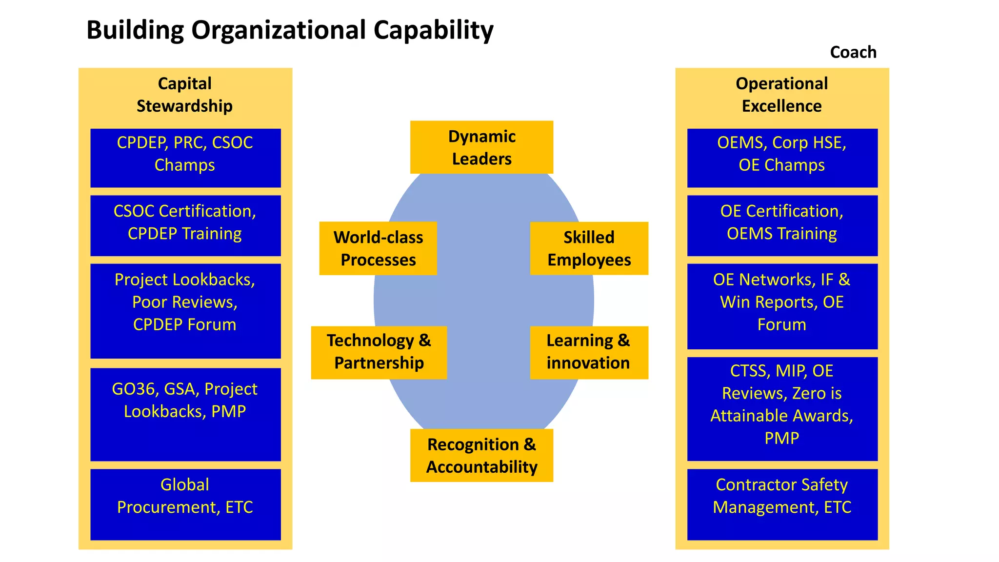 Building Organizational Capability.pptx