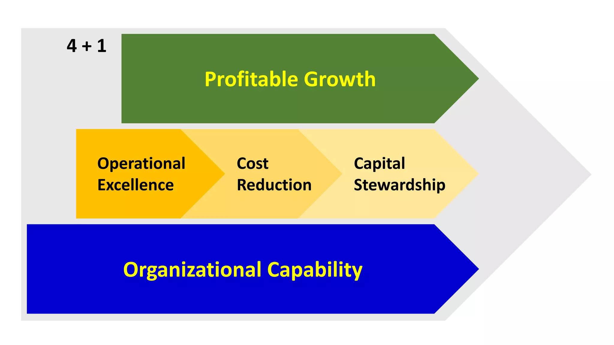 Building Organizational Capability.pptx