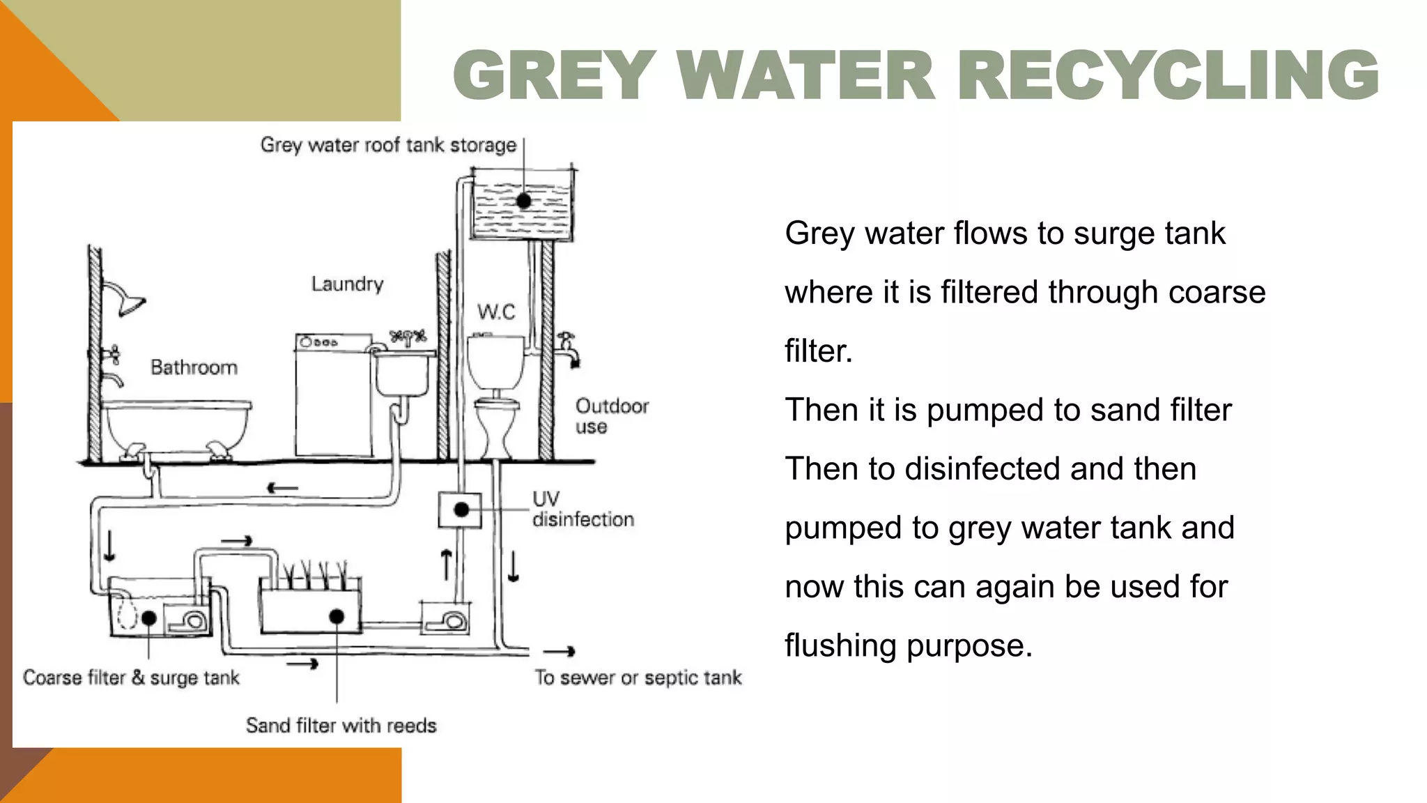 Building Sanitation.pptx