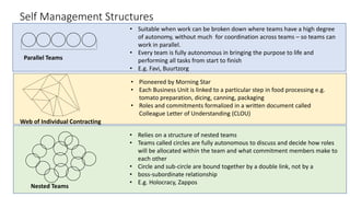 Self Managed Teams Structure