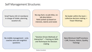 Self Managed Teams Structure