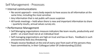 Self Managed Teams Structure