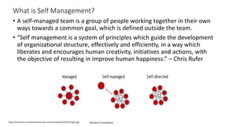 Self Managed Teams Structure