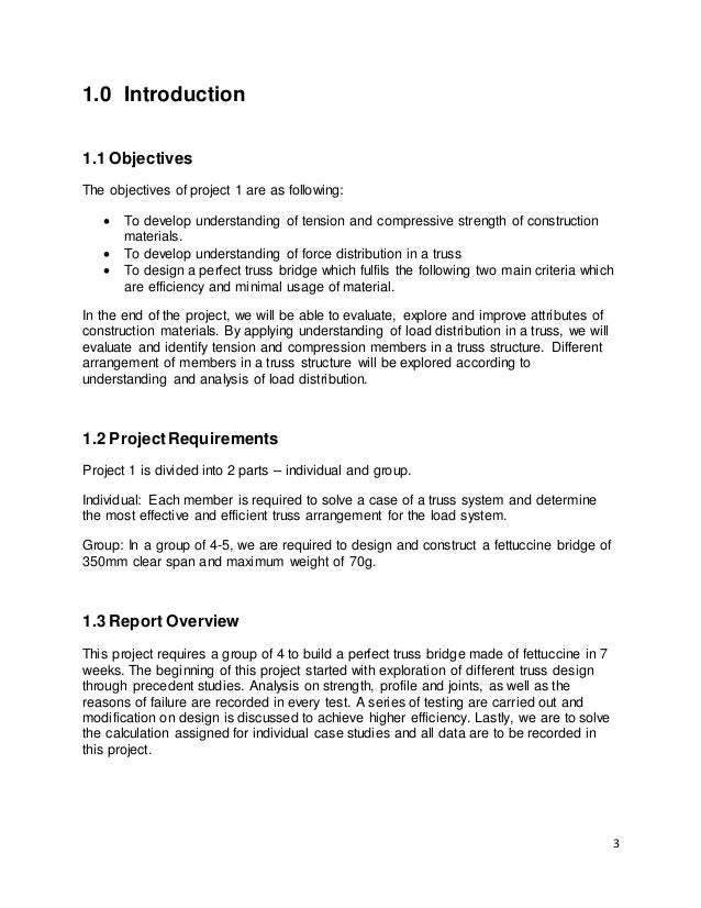 Building structure report