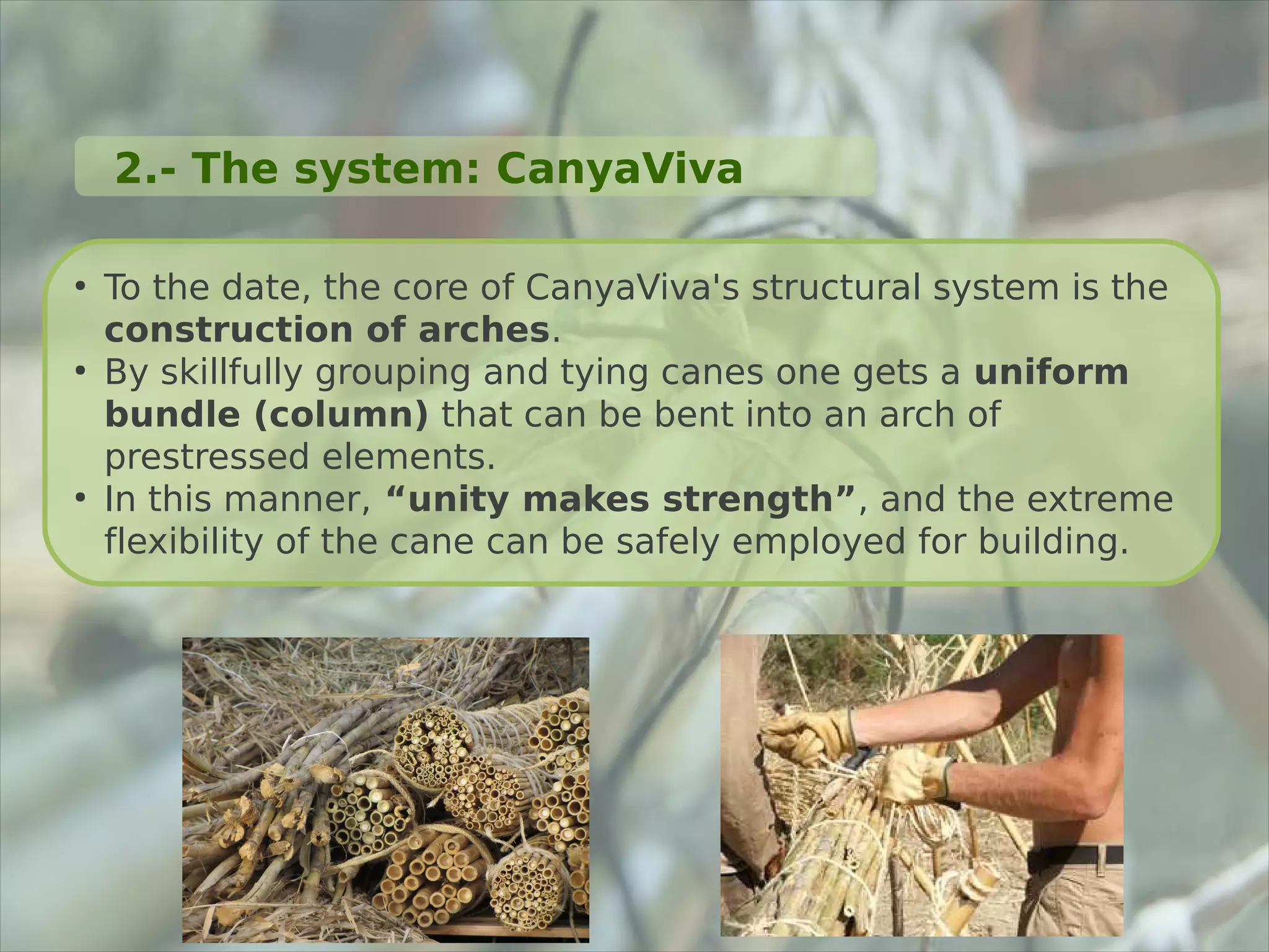 Building structures with cane.pdf