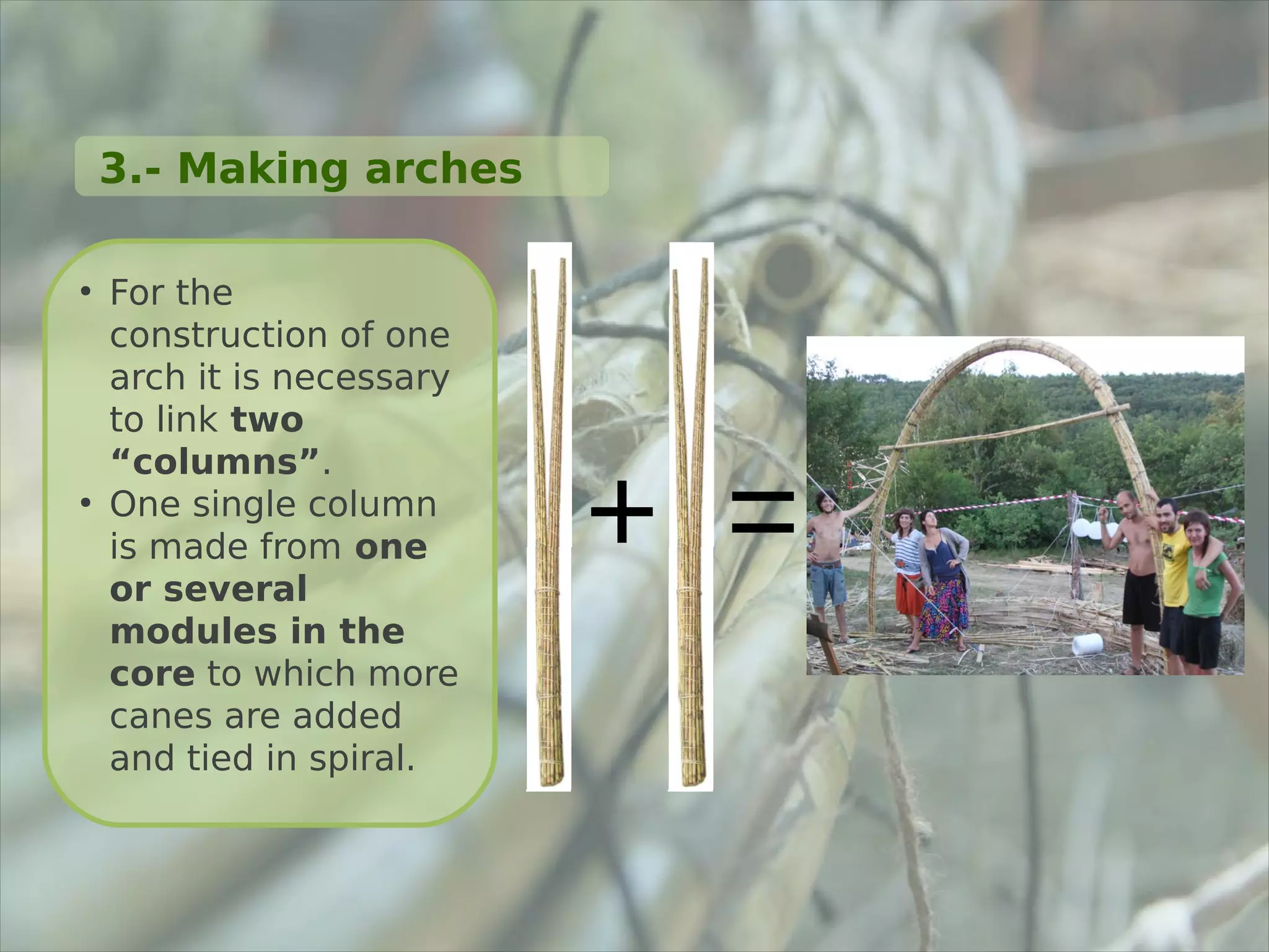 Building structures with cane.pdf