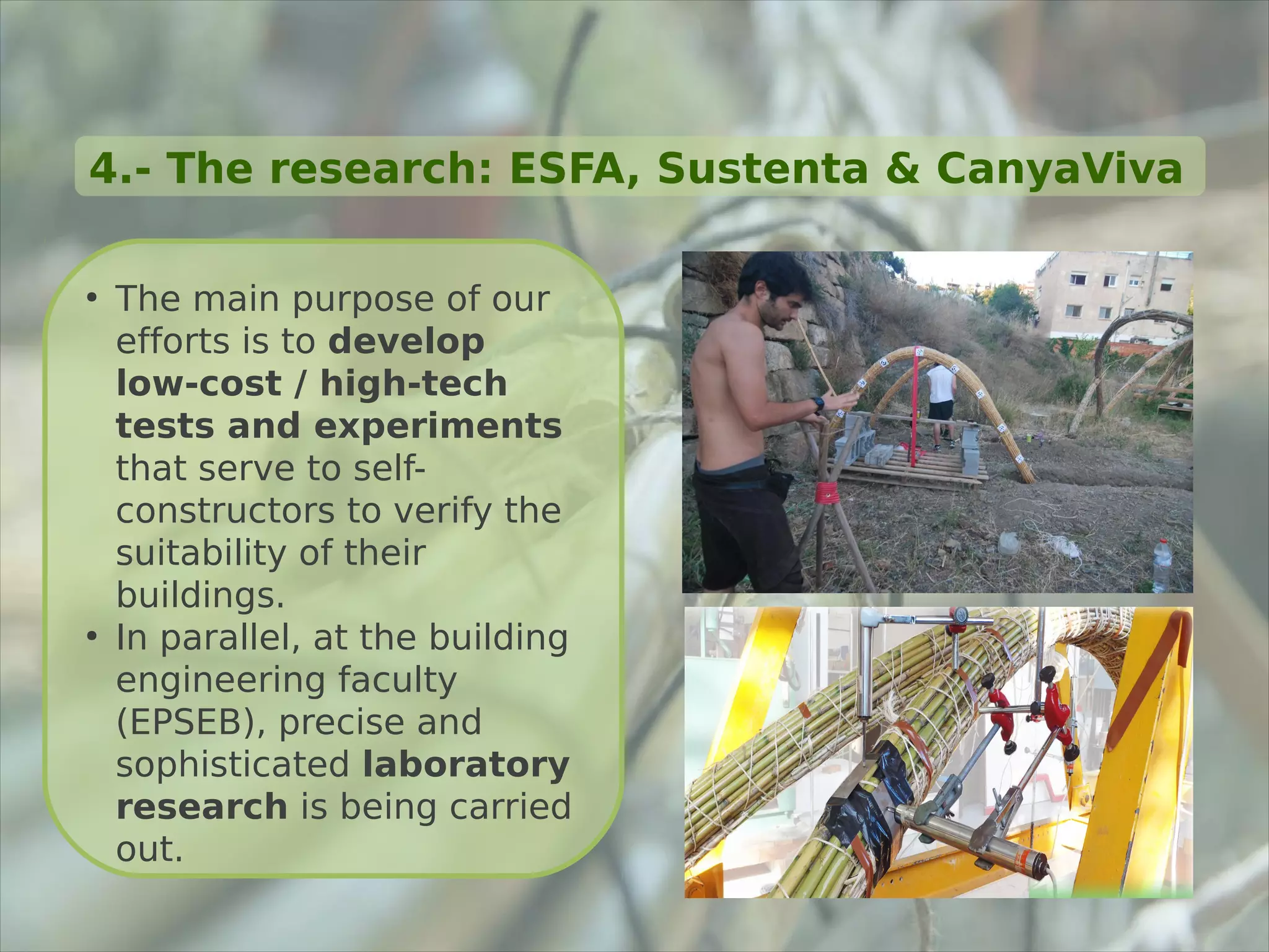 Building structures with cane.pdf