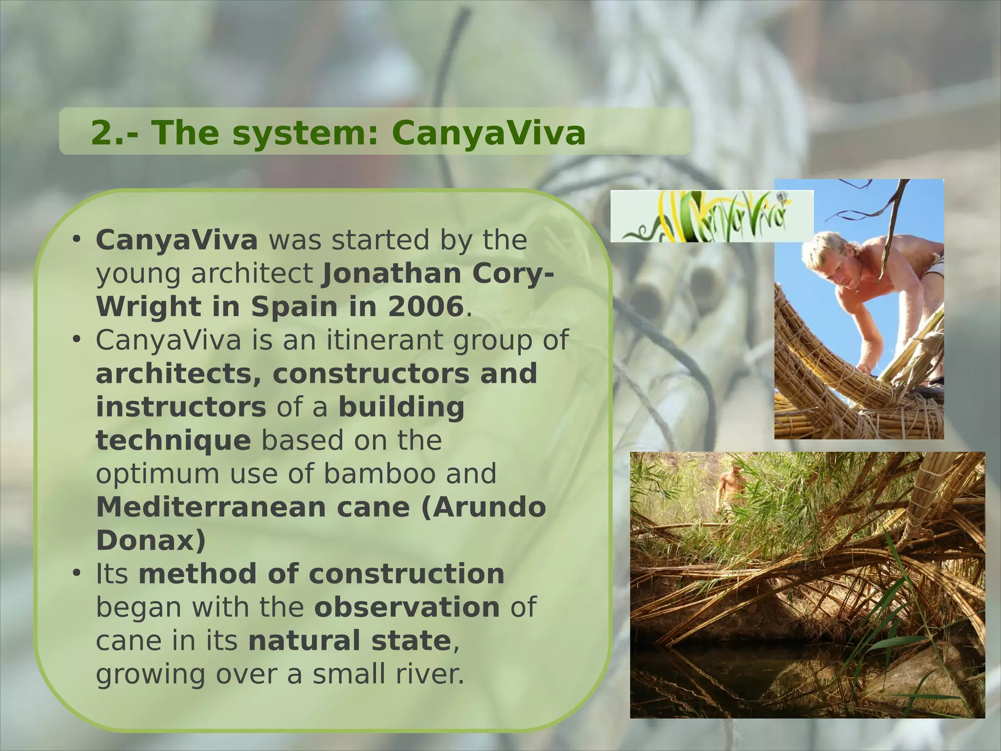 Building structures with cane.pdf