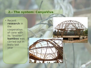 Building structures with cane.pdf