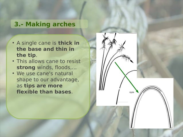 Building structures with cane.pdf