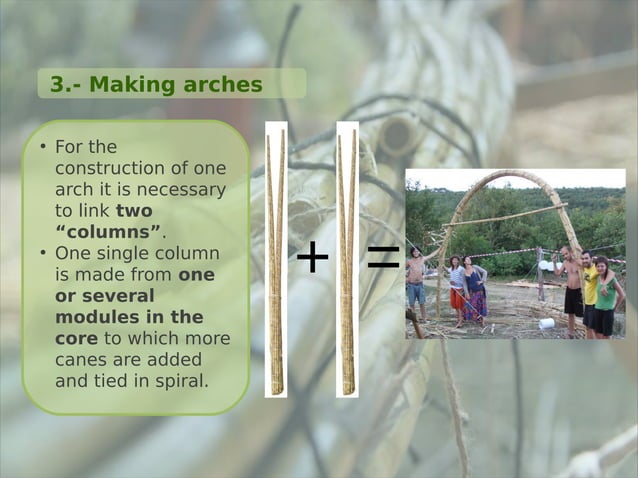 Building structures with cane.pdf